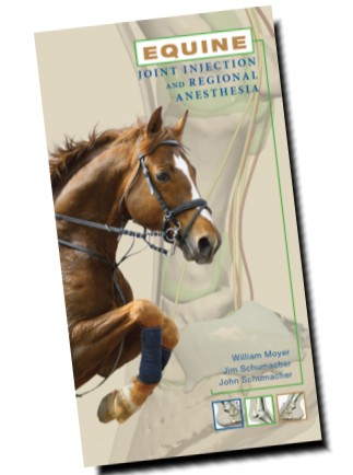 Equine Joint Injection book – AVS Bookstore